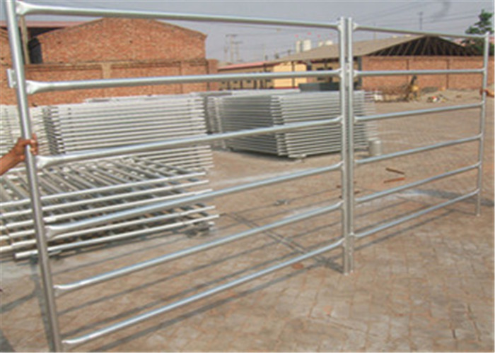 Galvanized Pipe Livestock Metal Corral Panels For Horses Ant - Rust ...