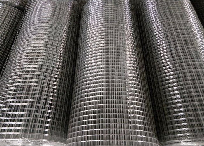 1x1/2 Inch Bird Cage Wire Mesh Roll Pvc Coating For Chicken Cages